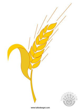 Spiga di grano colorata - TuttoDisegni.com