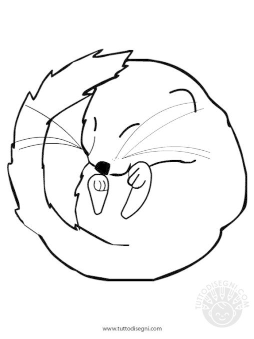 Ghiro in letargo - TuttoDisegni.com