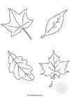 Foglie in autunno da colorare - TuttoDisegni.com