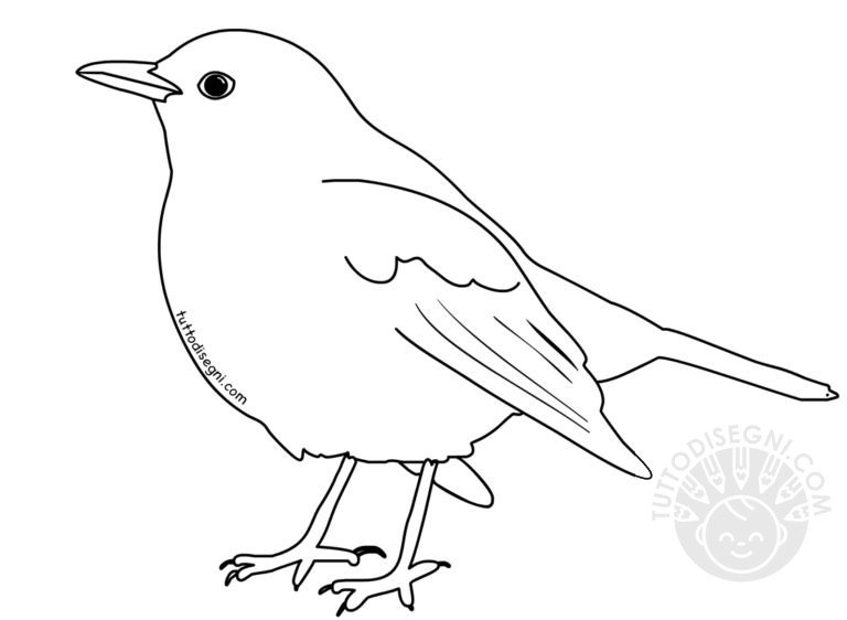Disegni di Merli per bambini da colorare - TuttoDisegni.com