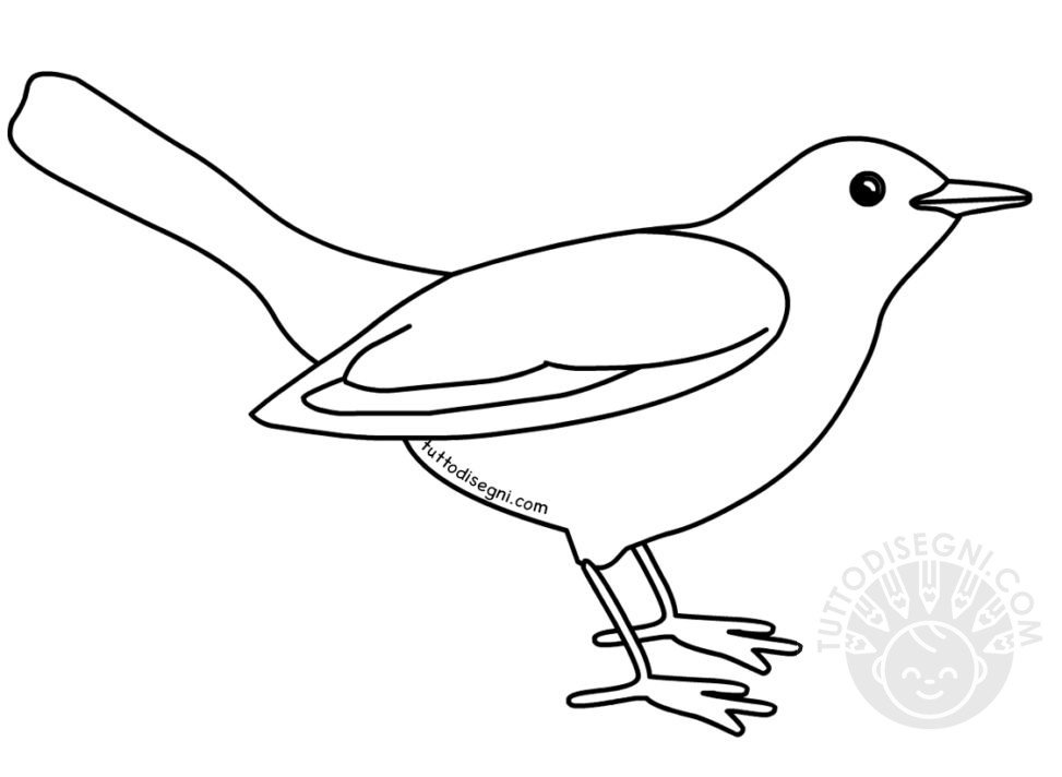 Disegni di Merli per bambini da colorare - TuttoDisegni.com