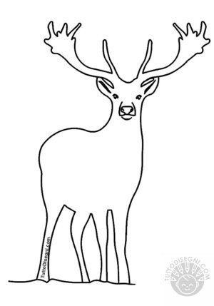 Renna da colorare - TuttoDisegni.com