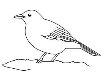 Lavoretto Giorni della merla - TuttoDisegni.com