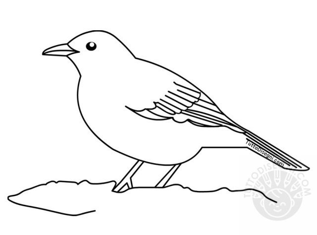Uccellino in volo da colorare - TuttoDisegni.com