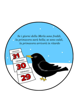 Giorni della merla proverbio - TuttoDisegni.com